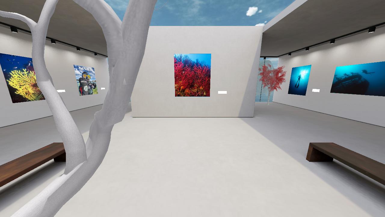 Luca Rellini's Photo Gallery | Spatial