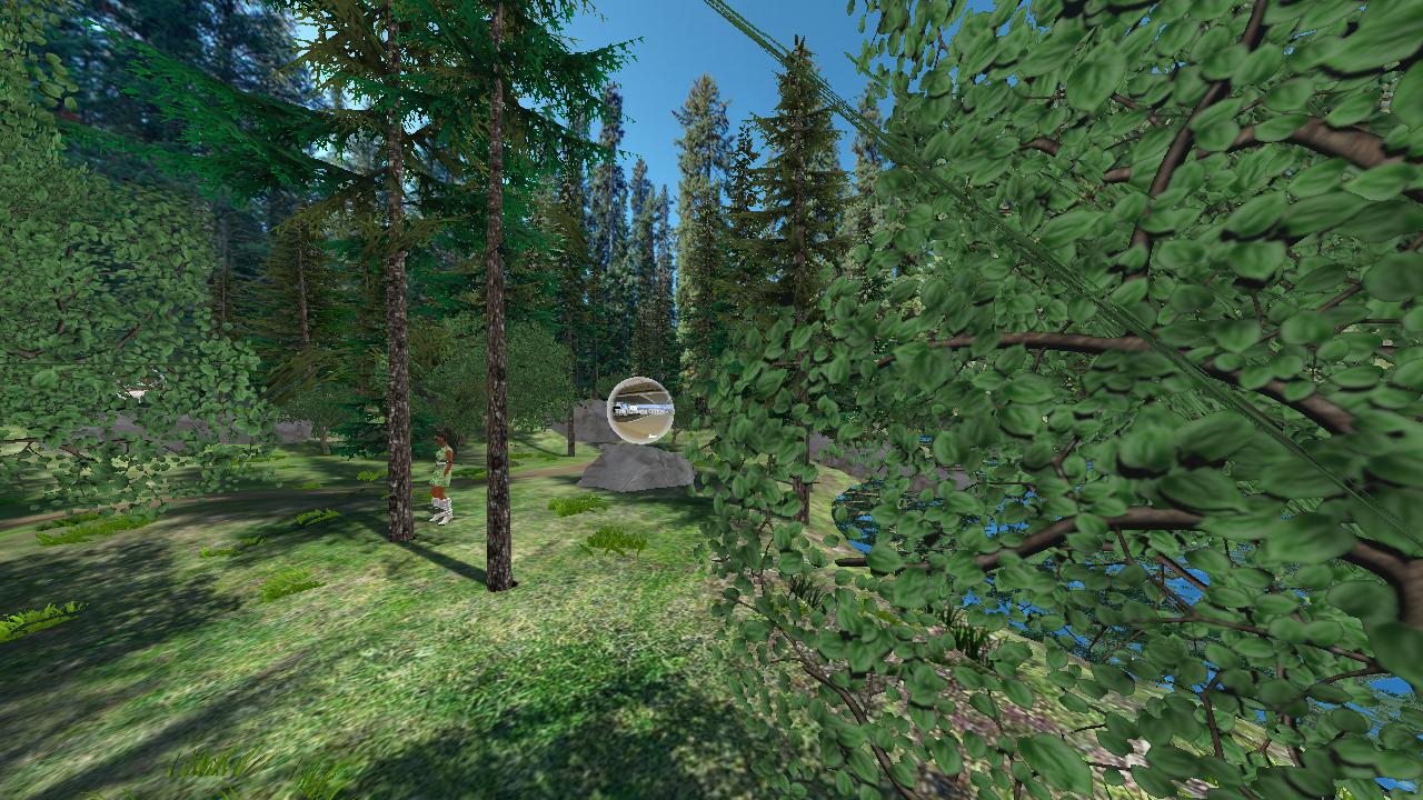 Forest Area | Spatial