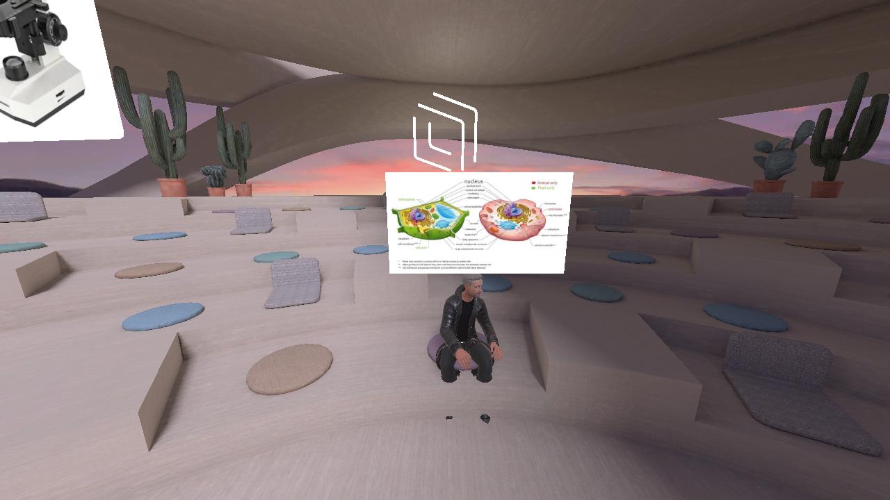 Ployly's Virtual Hangout | Spatial